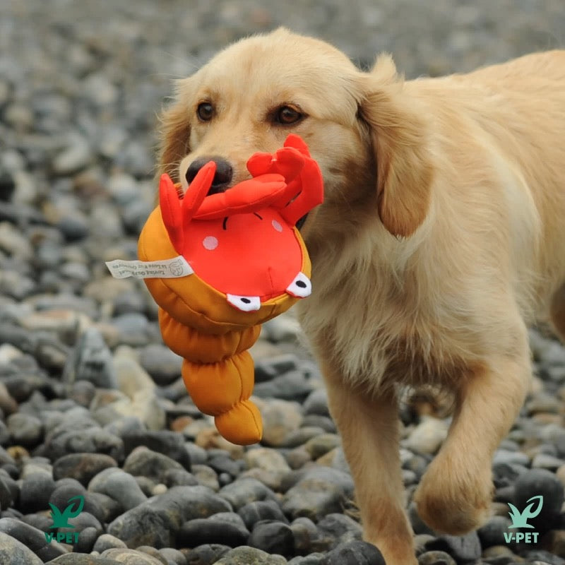 Pagurian – Save Our Seas Collection 🌊🦀 – Waita Pets - Freeze-Dried ...